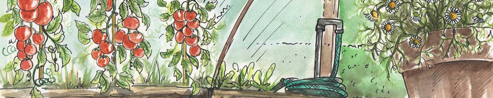 Marigold Storybook – Happy Designer