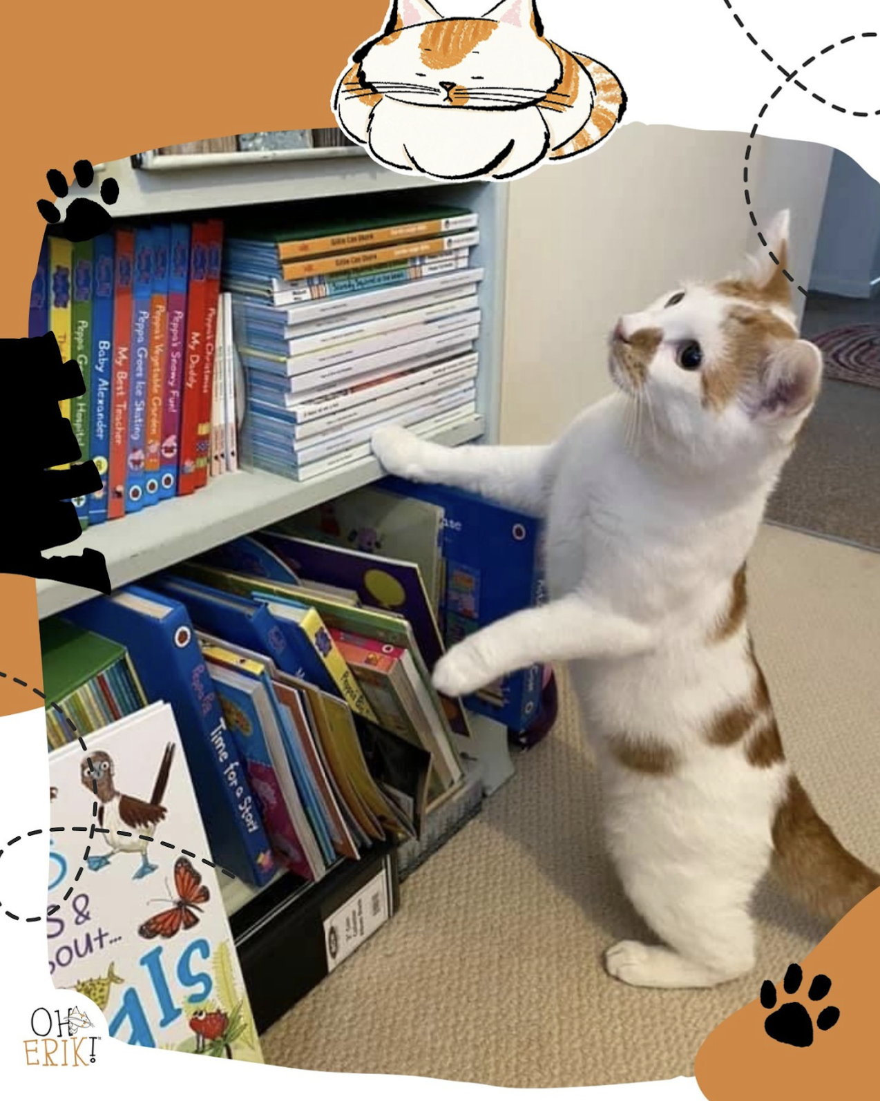 This festive season, why not make reading your New Year’s resolution?